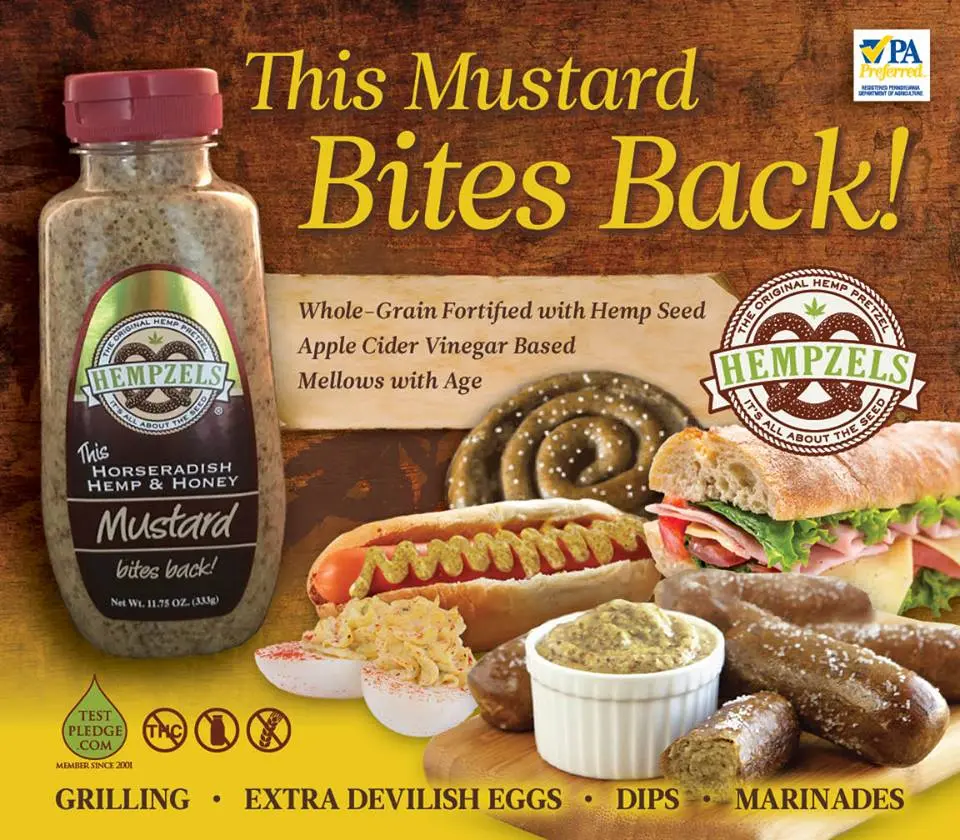 Shop Hot or Mild Horseradish Honey Mustard in large squeeze bottle